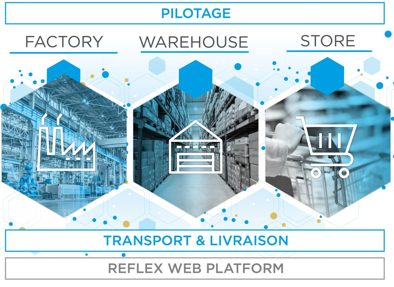 Reflex WMS - IST PARTNER